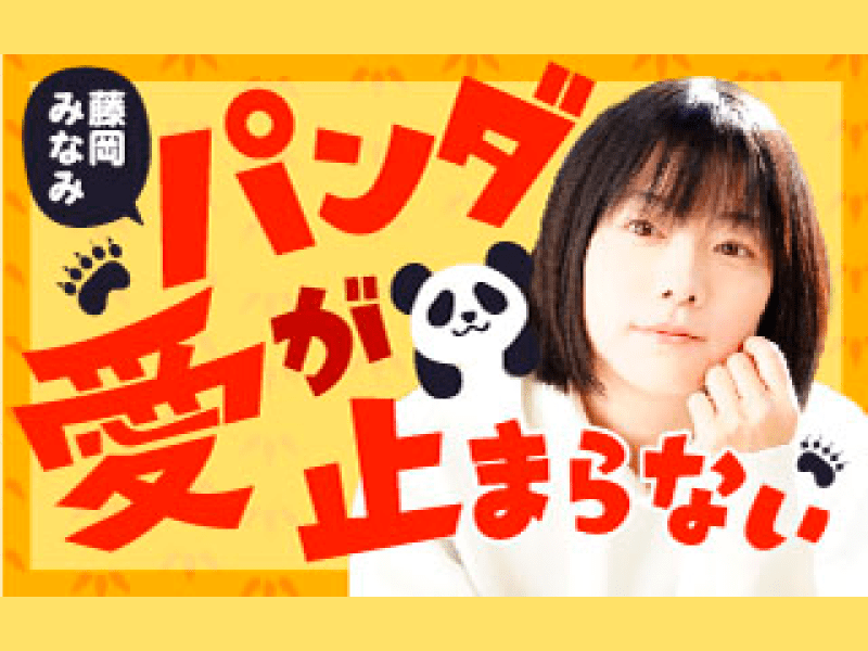 よちよちパンダとじゃれ合い わが人生のピーク、中国で夢のような体験｜北日本新聞webunプラス