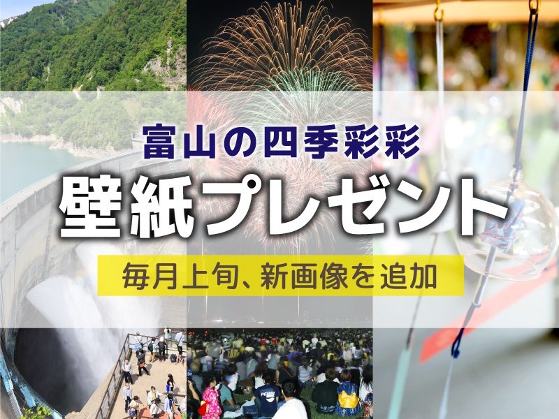壁紙プレゼント（2023年8月）｜北日本新聞webunプラス