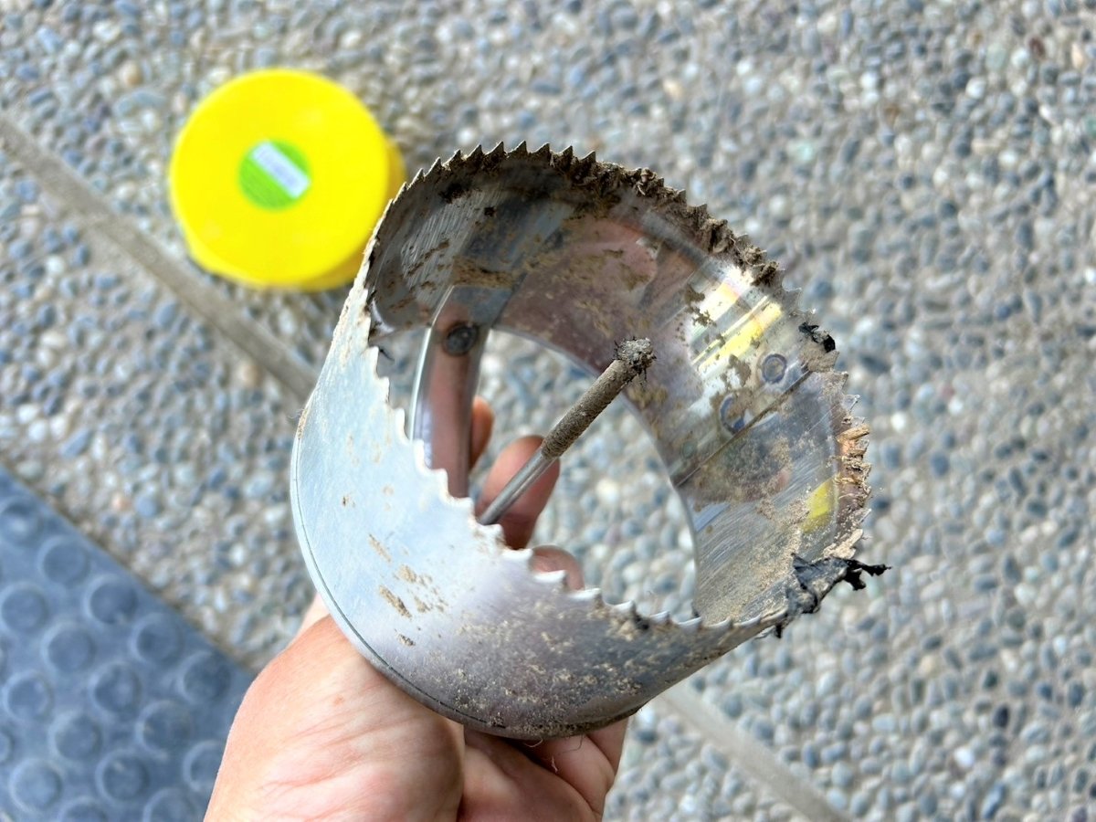 夏野菜を植えよう！ コノコト｜北日本新聞webunプラス