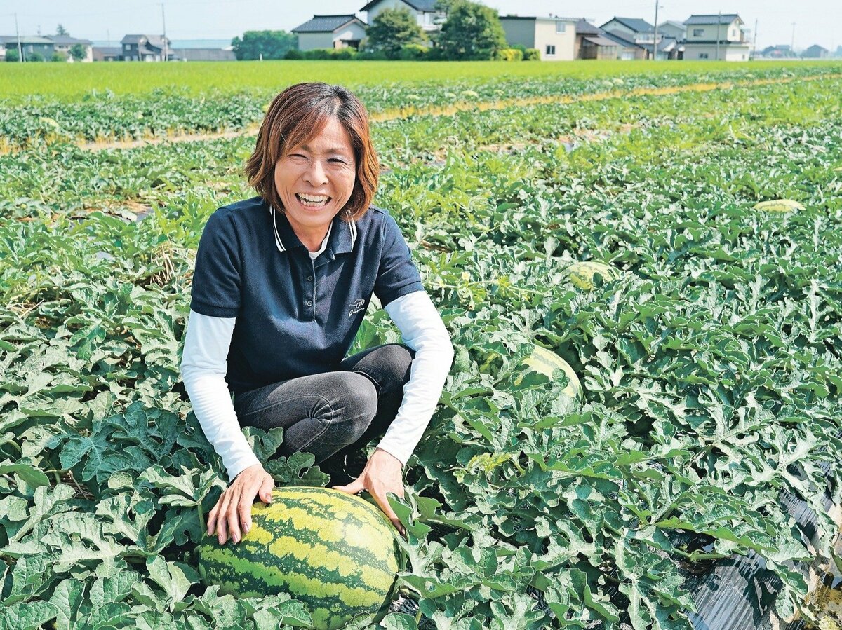 私が『君たち』だった頃森下（もりした）さゆりさん（ 入善町ジャンボ西瓜生産組合長）｜北日本新聞webunプラス