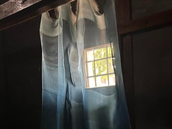 情熱が渦を生み、周囲を巻き込み、豊かさをもたらす／中野香織｜北日本新聞webunプラス