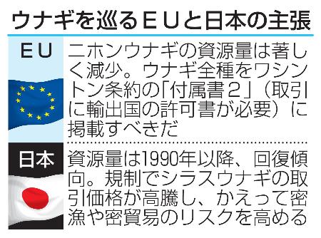 EUのウナギ規制提案に日本反発｜北日本新聞webunプラス