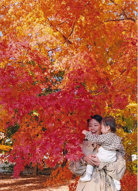 読者写真コンクール12月の入選作・最終選考進出作（2024年）｜北日本新聞webunプラス