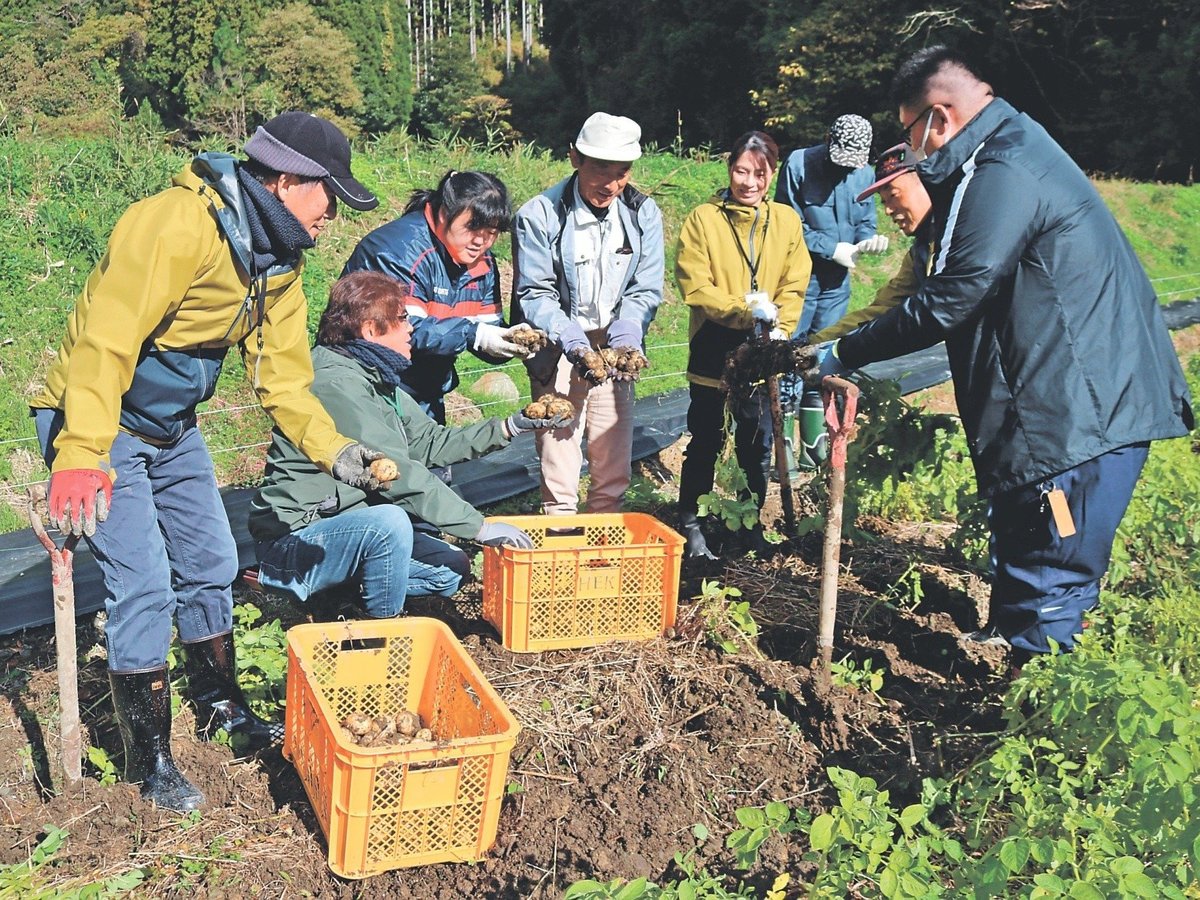 農業で障害者就労支援 氷見ふるさとエネルギーとNPO連携、初収穫のジャガイモ販売へ｜北日本新聞webunプラス