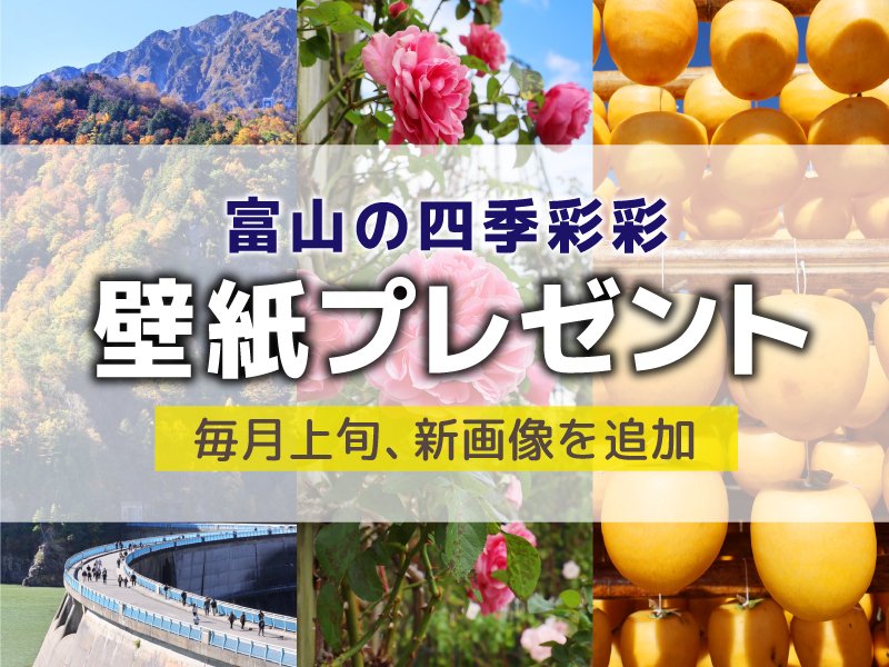 壁紙プレゼント（2025年10月）「黒部ダムの紅葉」「秋バラ」「あんぽ柿」｜北日本新聞webunプラス