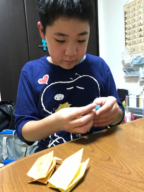 旅立ちのお供 コノコト｜北日本新聞webunプラス