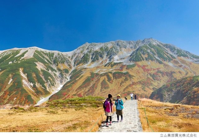 富山のグルメ・イベント・おでかけ情報｜北日本新聞webunプラス