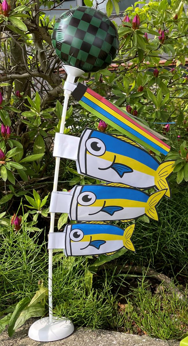 （69）富山県民なら“ぶり”のぼりでしょう！展開図付き♪【やちやちが行く！！】 コノコト｜北日本新聞webunプラス