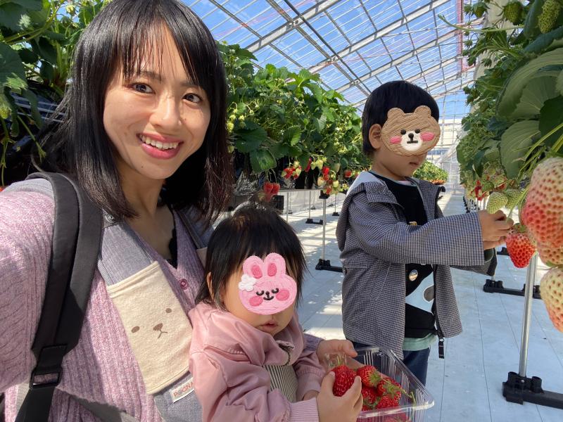 いちご狩りで真っ赤なとれたていちごを頬張る コノコト｜北日本新聞webunプラス