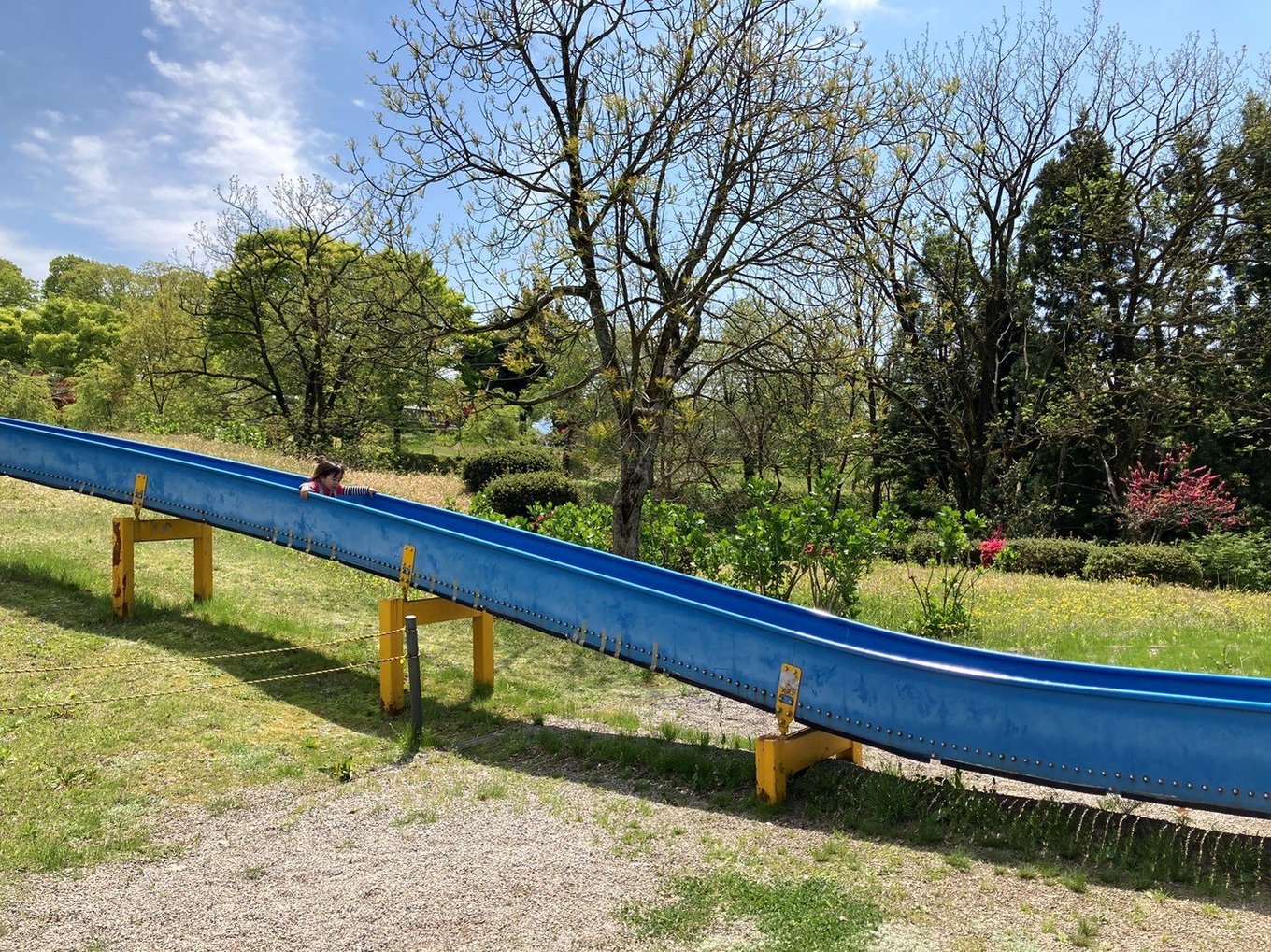 ふわふわドームを求めて コノコト｜北日本新聞webunプラス