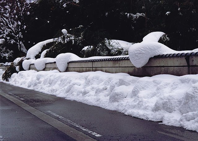 読者写真コンクール2月の入選作・最終選考進出作（2025年）｜北日本新聞webunプラス