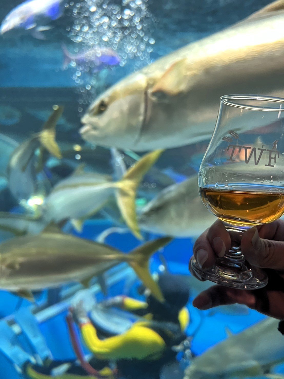 TOYAMAウイスキーフェス vol.2｜北日本新聞webunプラス