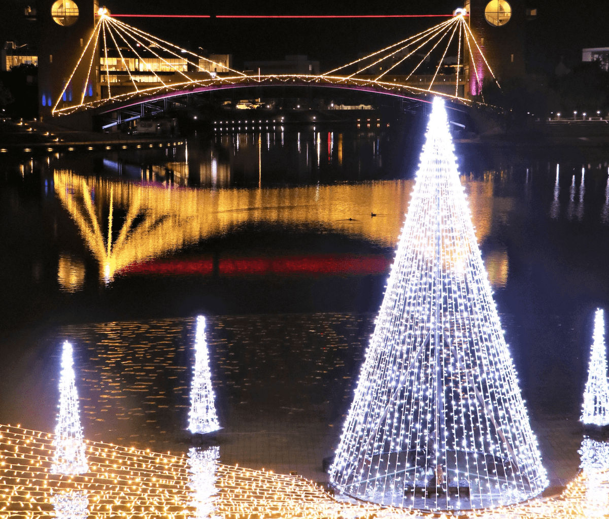 環水公園スイートイルミネーション2024｜北日本新聞webunプラス