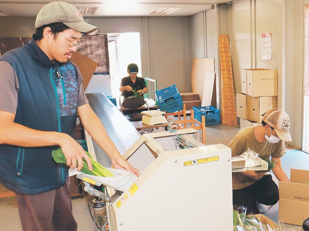 県内の障害者雇用伸び悩み 2割が「ゼロ企業」、マッチングに難しさ｜北日本新聞webunプラス