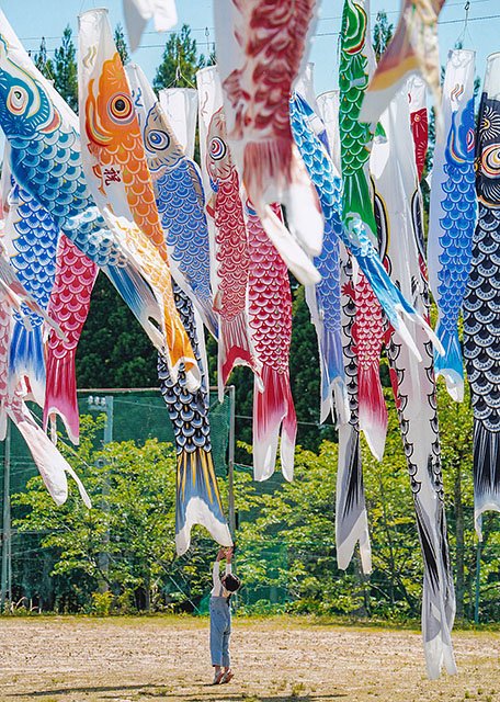 読者写真コンクール5月の入選作・最終選考進出作（2025年）｜北日本新聞webunプラス