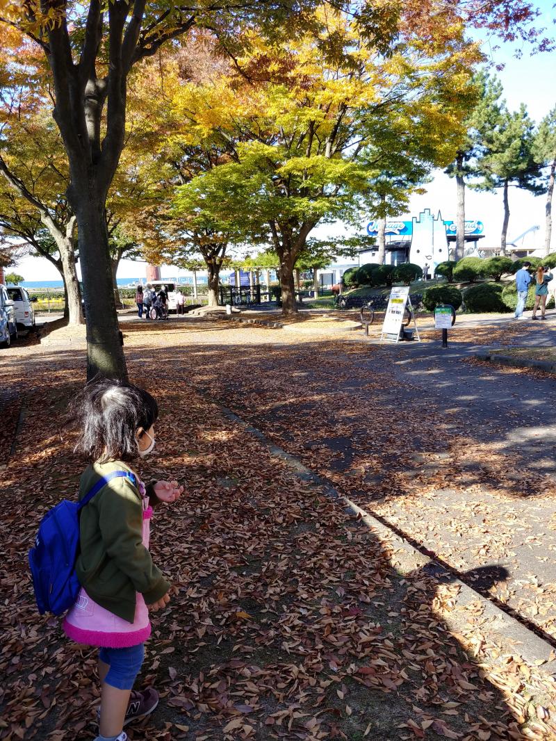 ミラージュランド コノコト｜北日本新聞webunプラス