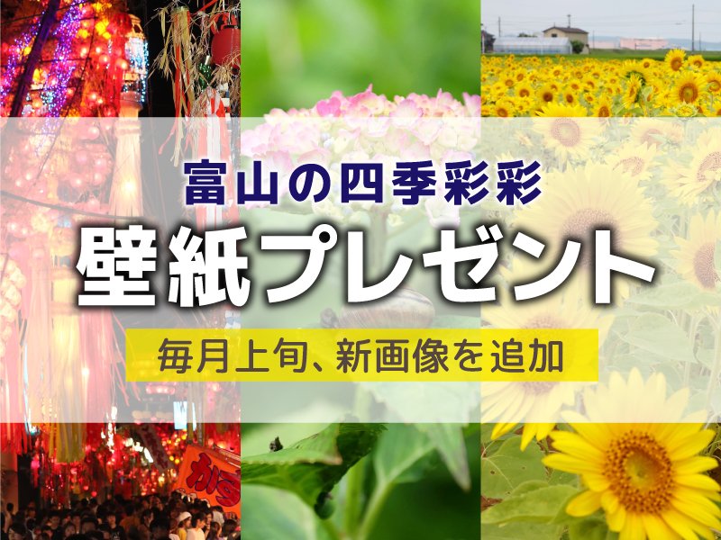 壁紙プレゼント（2024年7月）｜北日本新聞webunプラス