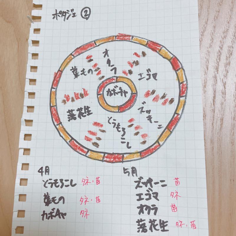 ㉔どんなデザインにする？便利グッズで新ポタジェ完成！【富山でつくる！ポタジェガーデン】 コノコト｜北日本新聞webunプラス