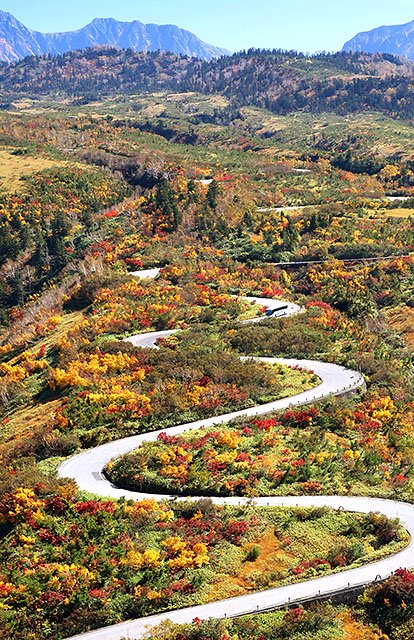 ＜とやまの紅葉2024＞立山・七曲色づく秋のつづら折り｜北日本新聞webunプラス