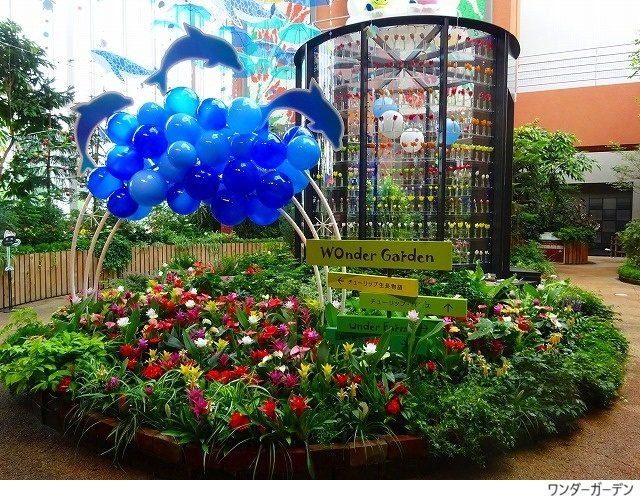 季節展示「盛夏の庭」｜北日本新聞webunプラス