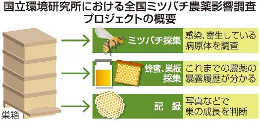 ＜ダニ博士の徒然草＞19 五箇公一ミツバチが教えてくれること｜北日本新聞webunプラス