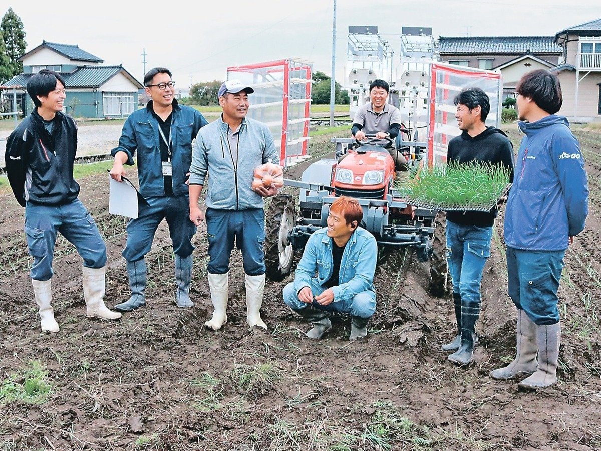 給食に地元産タマネギ 小中学校で25年2学期から、黒部の農家3軒「間違いない物を」｜北日本新聞webunプラス
