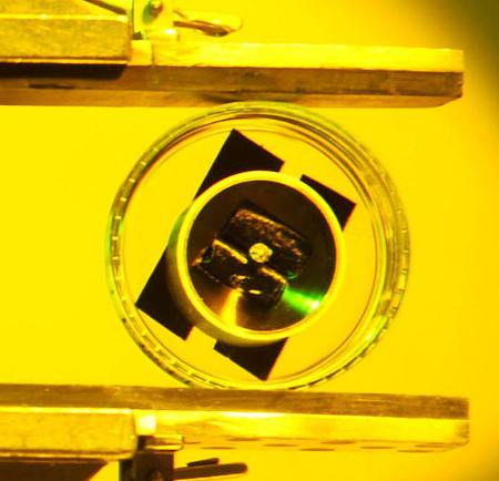 分析中の燃料デブリを初公開｜北日本新聞webunプラス