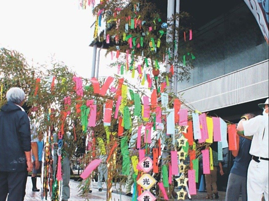 9メートルの七夕に園児の短冊飾る 南砺・福光中央会館前｜北日本新聞webunプラス