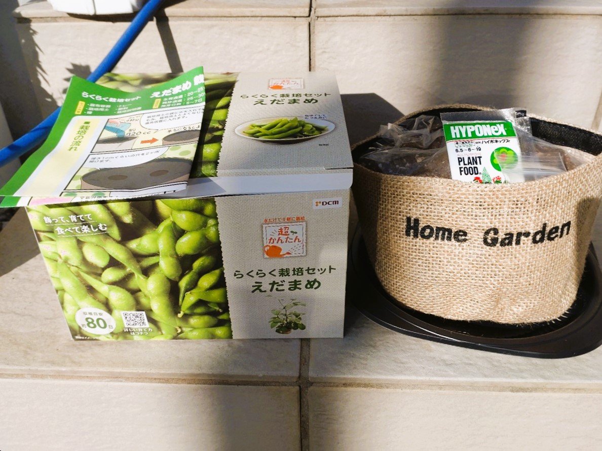 簡単野菜作り🌱えだまめ コノコト｜北日本新聞webunプラス