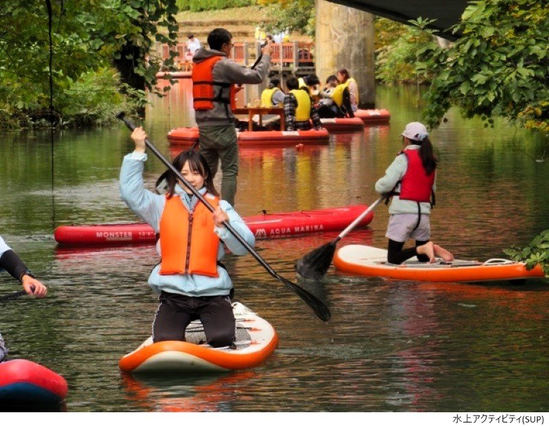 にゅうぜんフラワーロード2024｜北日本新聞webunプラス