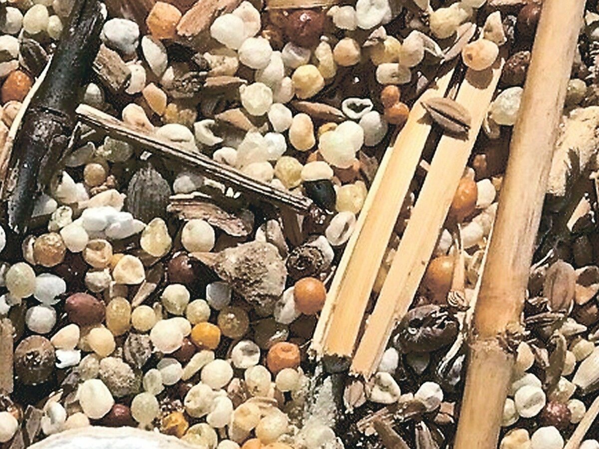 肥料殻にコメ由来樹脂 いなほ化工（高岡）のグループ開発、微生物が水とCO2に分解｜北日本新聞webunプラス