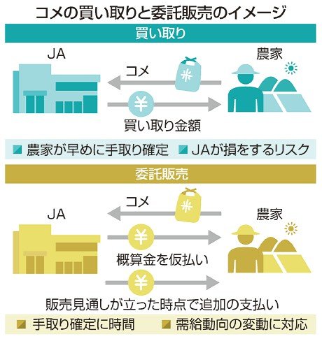 コメの脱「仮払い」模索 JA全農、買い取りで集荷率向上｜北日本新聞webunプラス