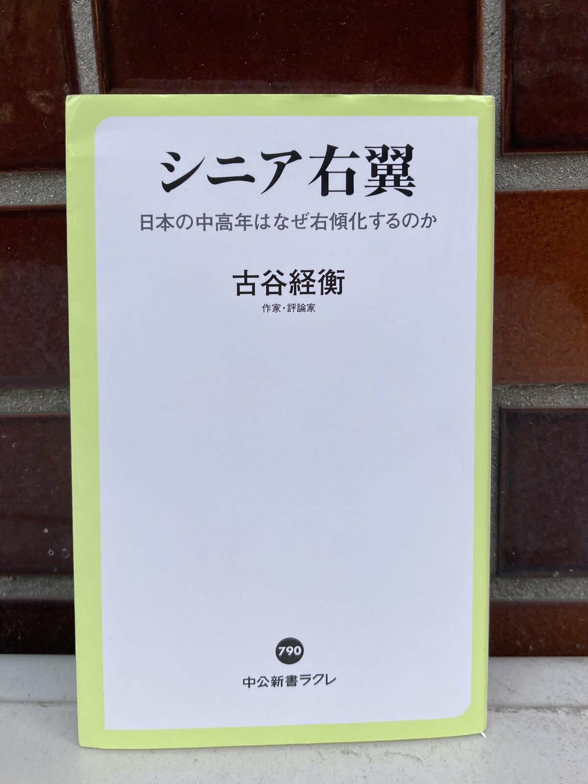 誰のことも秒速で判断してはならない 『シニア右翼』古谷経衡著 幕間の読書 （綾門優季）｜北日本新聞webunプラス