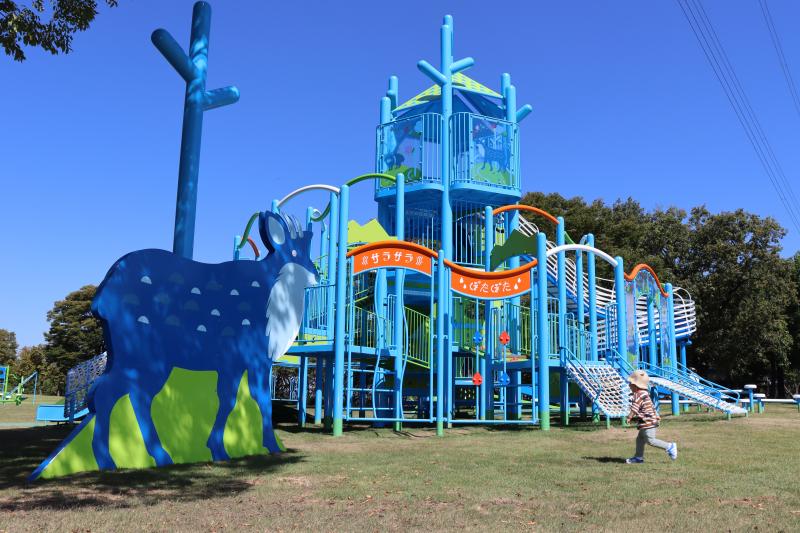 高さ9mのタワーに全長23mのロープウェー…太閤山ランドの新遊具を徹底レポート！ コノコト｜北日本新聞webunプラス