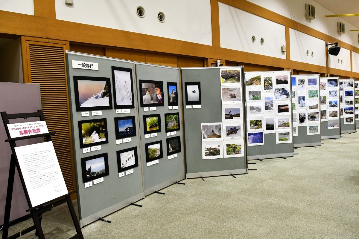 「わたしの出会ったライチョウ」フォトコンテスト応募作品展｜北日本新聞webunプラス