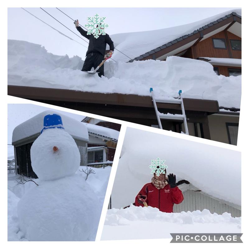 雪☃️ コノコト｜北日本新聞webunプラス