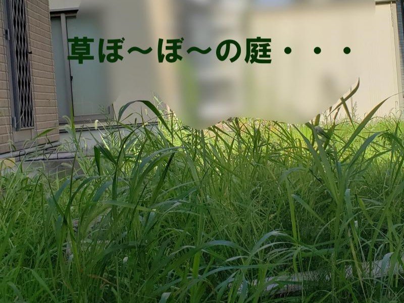 草むしりから解放（お庭DIY） コノコト｜北日本新聞webunプラス