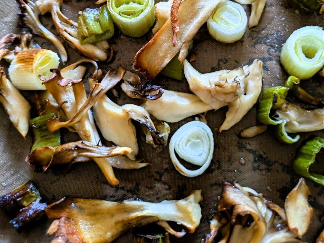 コノコト｜北日本新聞webunプラス