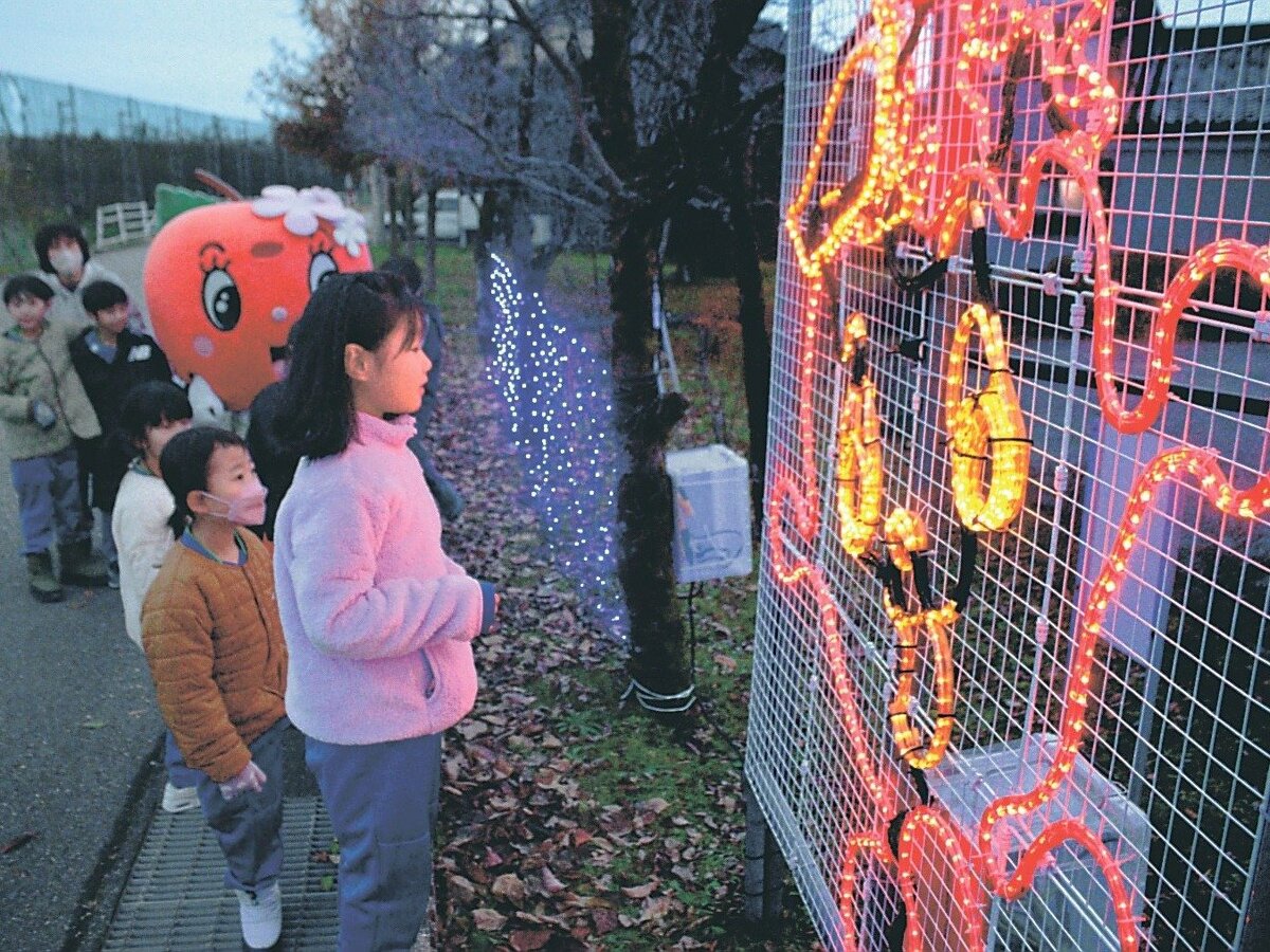 「かづりん」輝く 魚津加積地域振興会、LED幻想的に｜北日本新聞webunプラス