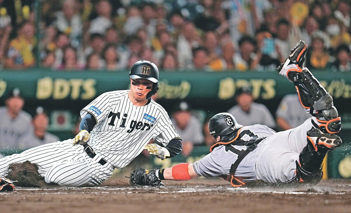 阪神森下、好走塁で決勝点 プロ野球｜北日本新聞webunプラス