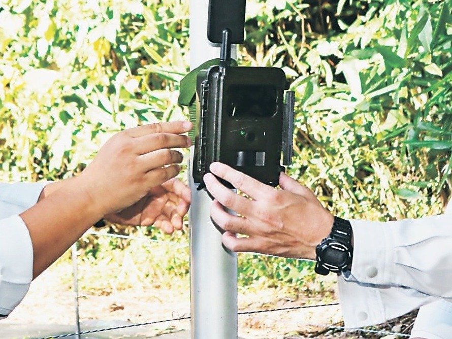 クマ目撃情報いち早く 砺波市、中山間地にAIカメラ12台｜北日本新聞webunプラス