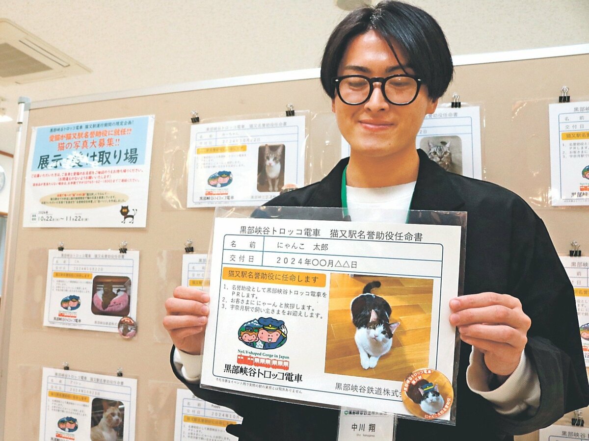 あなたの愛猫が猫又駅の「名誉助役」に 黒部峡谷鉄道企画｜北日本新聞webunプラス