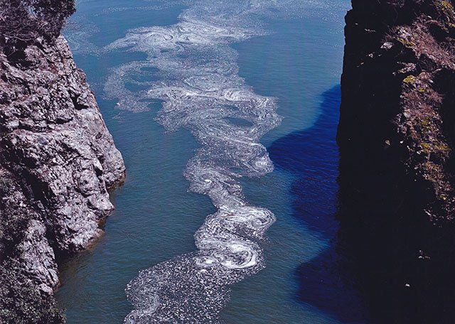 読者写真コンクール4月の入選作・最終選考進出作（2025年）｜北日本新聞webunプラス