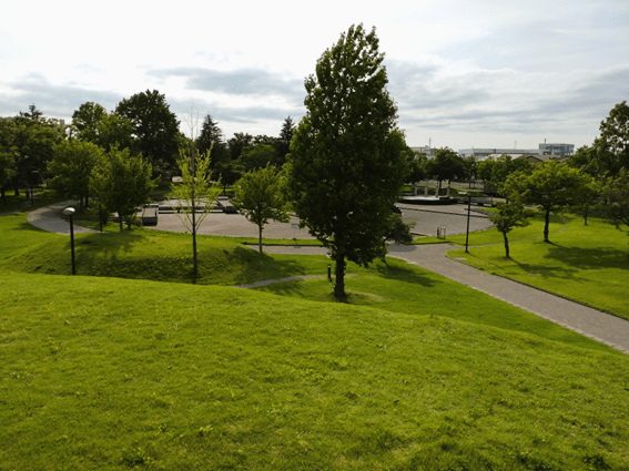 城東ふれあい公園 コノコト｜北日本新聞webunプラス