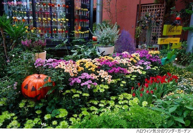 森のめぐみ ayaka｜北日本新聞webunプラス