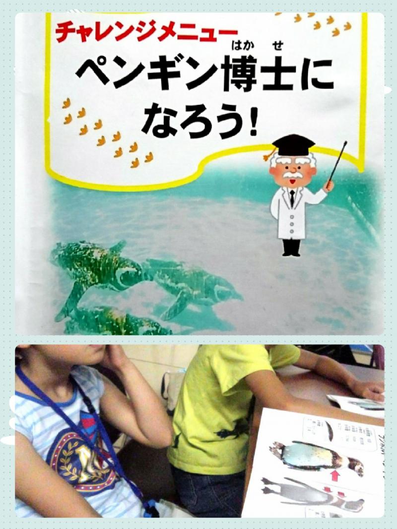 「ペンギン教室」と「メコンオオナマズの飼育係」 コノコト｜北日本新聞webunプラス