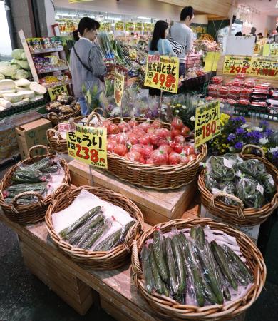 キュウリ、ピーマン3割高｜北日本新聞webunプラス