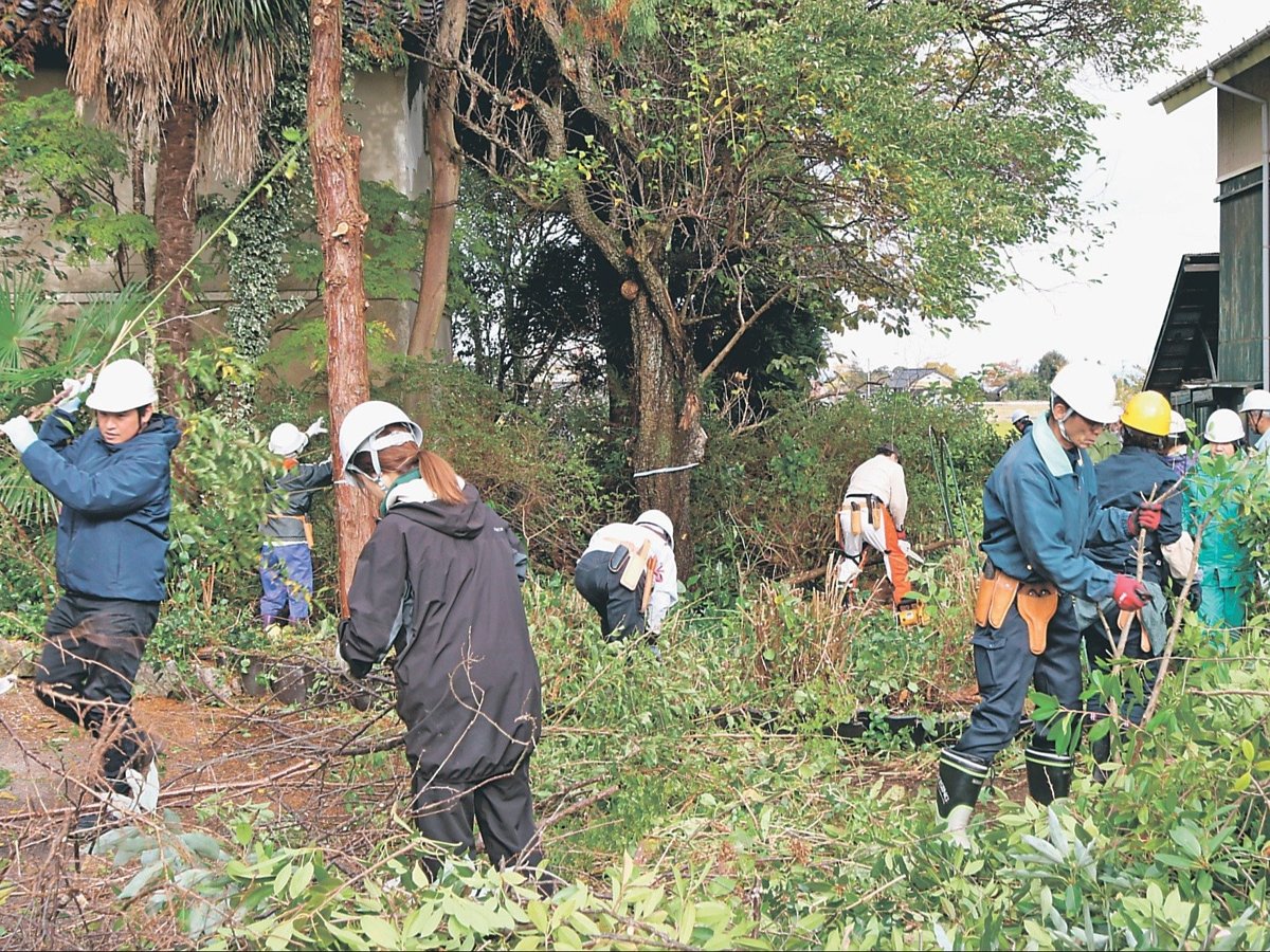お手入れ支援隊89人、手際よく屋敷林剪定 砺波の高齢者宅｜北日本新聞webunプラス
