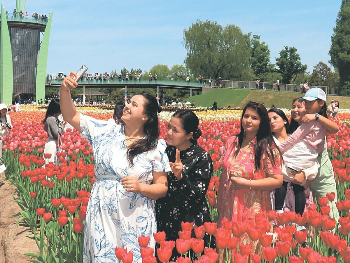 となみチューリップフェア閉幕、来場33万2000人 最終日まで見頃続き目標超え｜北日本新聞webunプラス