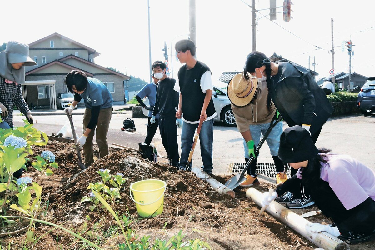大川寺駅前を再び美しく 富山国際大生・上滝地域団体、花壇復活へ大粒の汗｜北日本新聞webunプラス